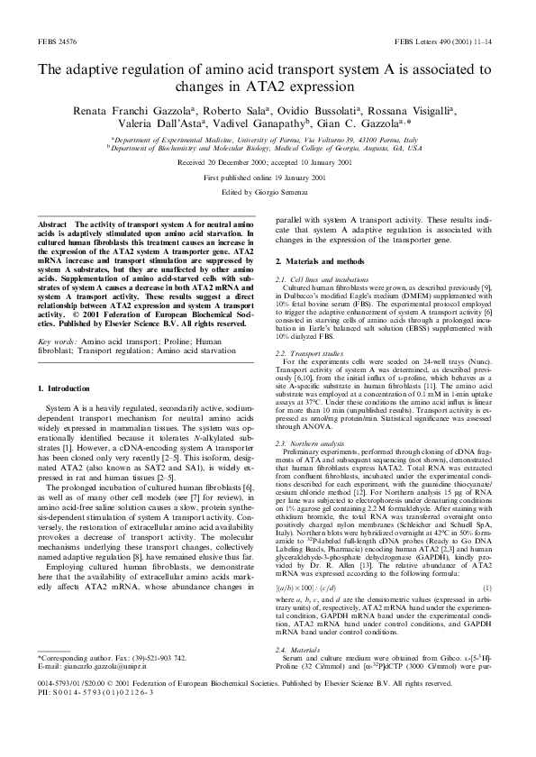 (PDF) The adaptive regulation of amino acid transport system A is ...