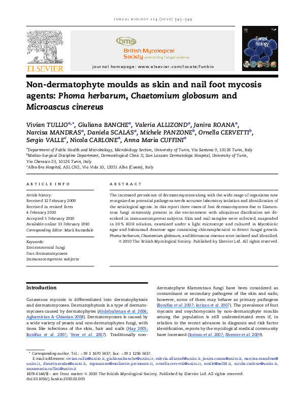 (PDF) Non-dermatophyte moulds as skin and nail foot mycosis agents ...