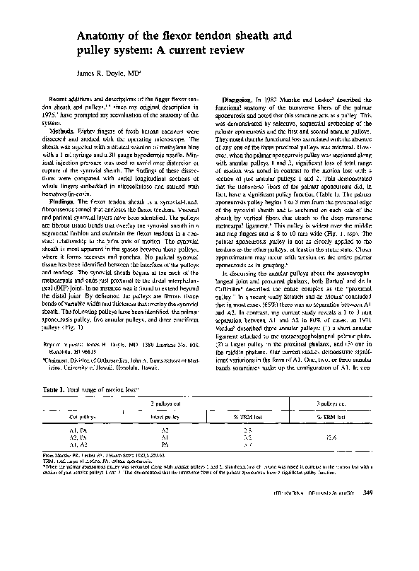 (PDF) Anatomy of the flexor tendon sheath and pulley system: A current ...