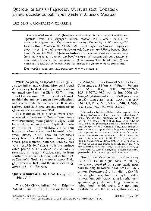 (PDF) Quercus tuitensis (Fagaceae, Quercus sect. Lobatae), a new ...