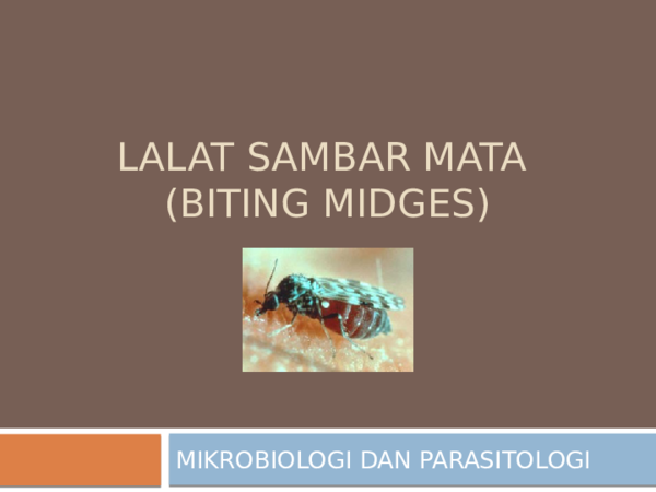(PPT) Lalat sambar mata