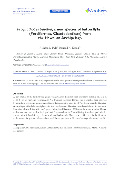 (PDF) Prognathodes basabei, a new species of butterflyfish (Perciformes ...