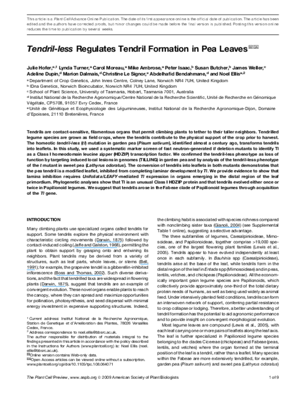 (PDF) Tendril-less Regulates Tendril Formation in Pea Leaves