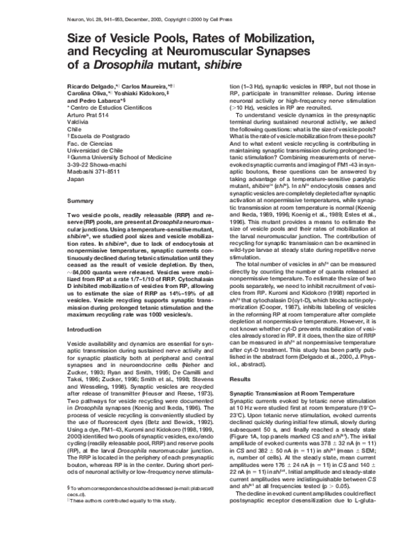 (PDF) Size of Vesicle Pools, Rates of Mobilization, and Recycling at ...