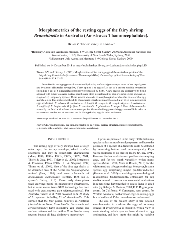 (PDF) Morphometrics of the resting eggs of the fairy shrimp ...