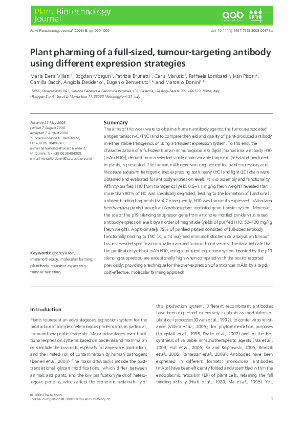 (PDF) Plant pharming of a full-sized, tumour-targeting antibody using ...