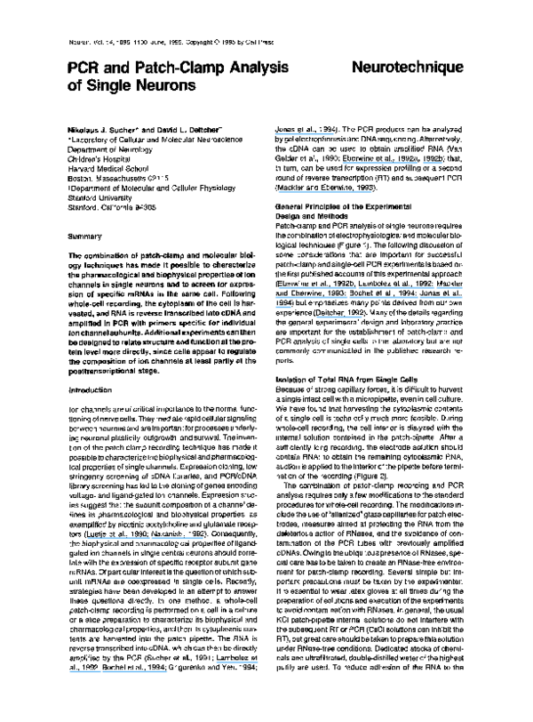 (PDF) PCR and patch-clamp analysis of single neurons