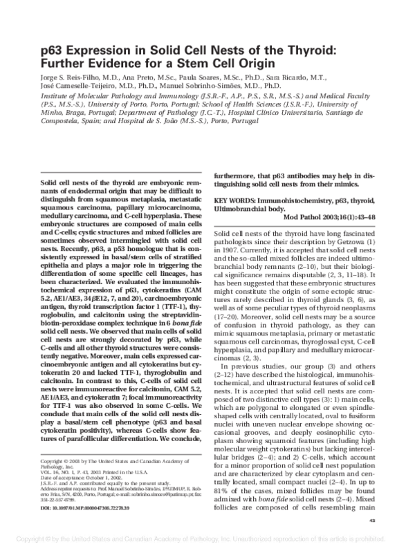 (PDF) p63 Expression in Solid Cell Nests of the Thyroid: Further ...