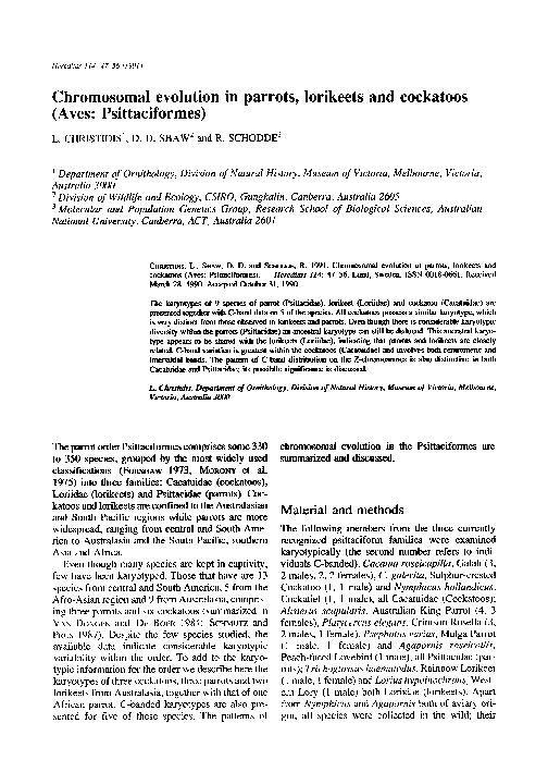 (PDF) Chromosomal evolution in parrots, lorikeets and cockatoos (Aves ...