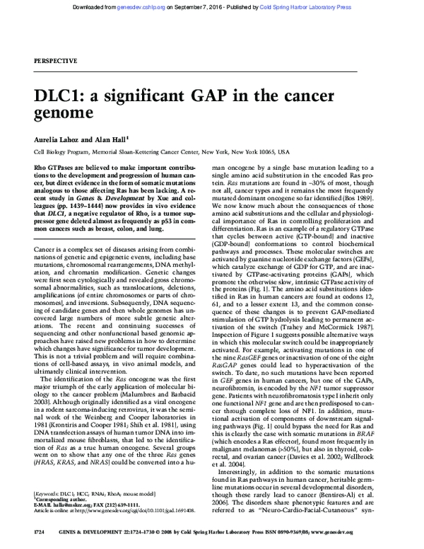 (PDF) DLC1: a significant GAP in the cancer genome