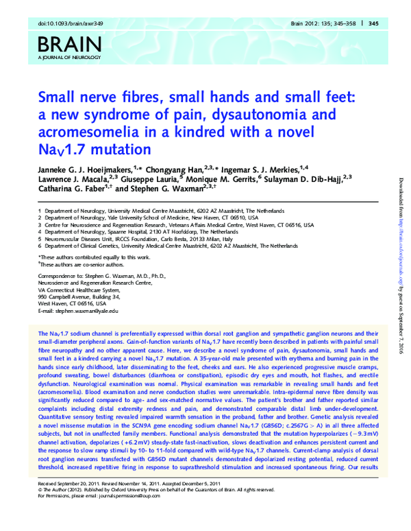 (PDF) Small nerve fibres, small hands and small feet: a new syndrome of ...