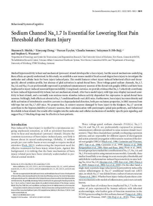 (PDF) Sodium Channel Nav1.7 Is Essential for Lowering Heat Pain ...