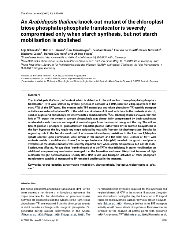 Pdf An Arabidopsis Thaliana Knock Out Mutant Of The Chloroplast Triose Phosphate Phosphate