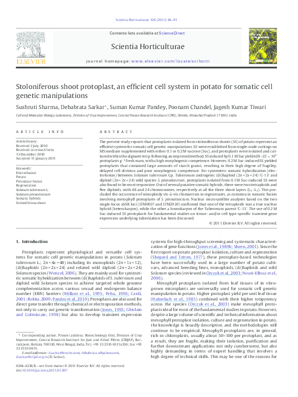 (PDF) Stoloniferous shoot protoplast, an efficient cell system in ...
