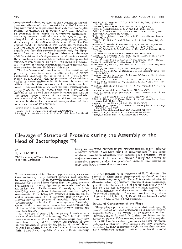 (PDF) Cleavage of structural proteins during the assembly of the head ...