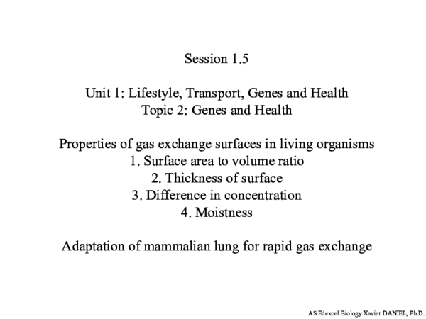 (PPT) AS Edexcel Biology Session 1.5 Gas Exchange Humans.pptx
