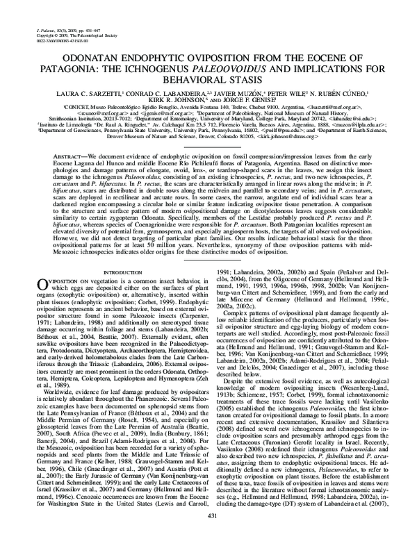 (PDF) Odonatan Endophytic Oviposition from the Eocene of Patagonia: The ...
