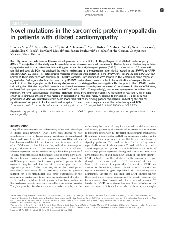(PDF) Novel mutations in the sarcomeric protein myopalladin in patients ...