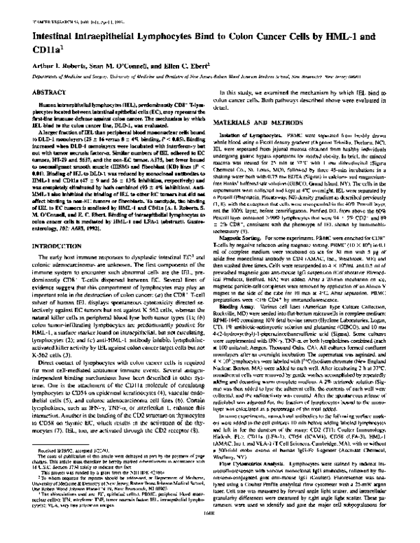 (PDF) Intestinal Intraepithelial Lymphocytes Bind to Colon Cancer Cells ...