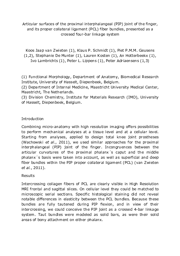 (PDF) Articular surfaces of the proximal interphalangeal (PIP) joint of ...
