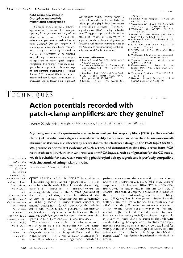 (PDF) Action potentials recorded with patch-clamp amplifiers: are they ...