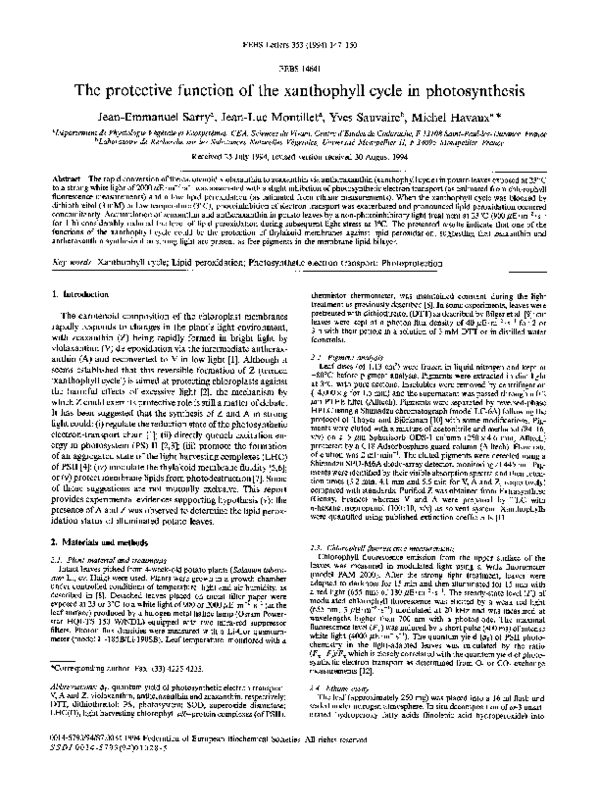 (PDF) The protective function of the xanthophyll cycle in photosynthesis