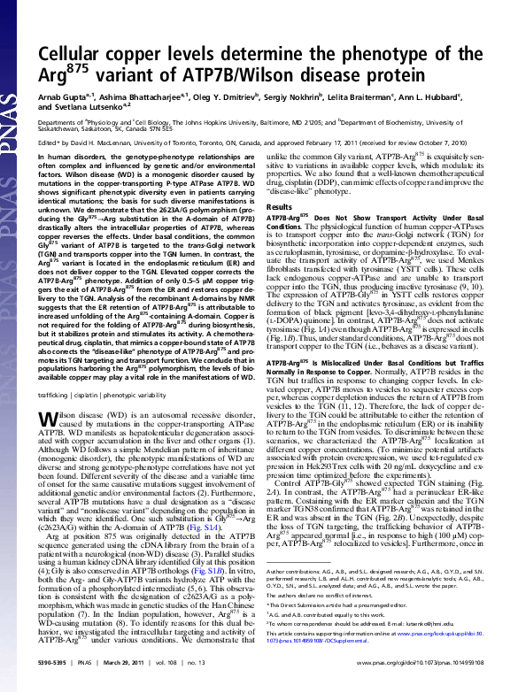 (PDF) Cellular copper levels determine the phenotype of the Arg875 ...