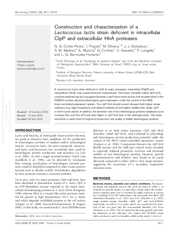 (PDF) Construction and characterization of a Lactococcus lactis strain deficient in ...