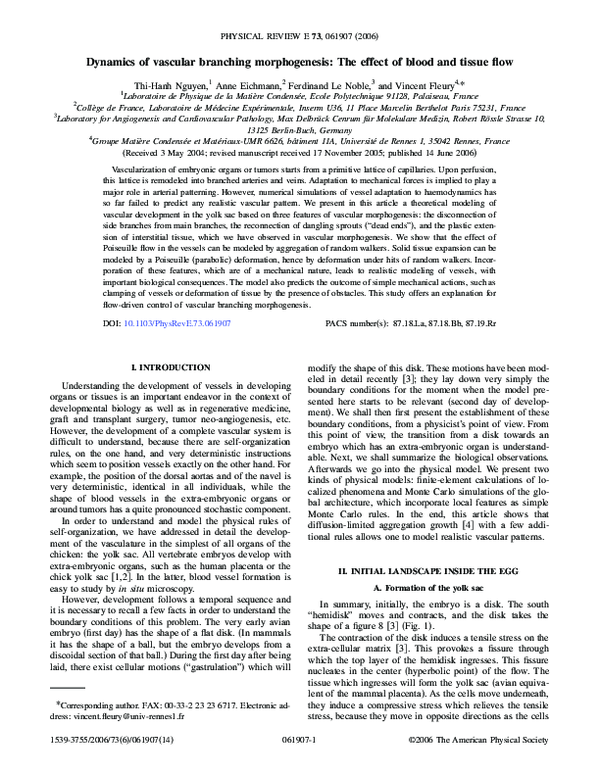 (PDF) Dynamics of vascular branching morphogenesis: The effect of blood and tissue flow