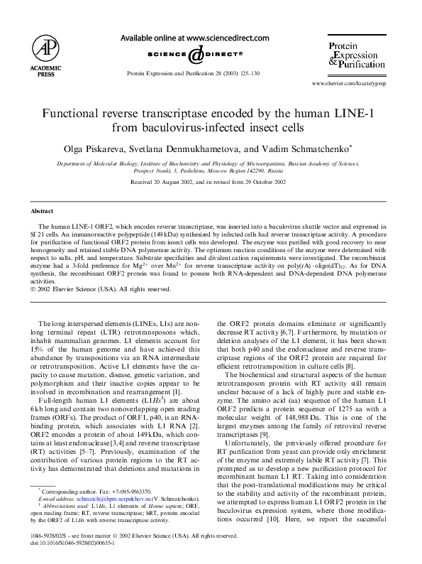 Pdf Functional Reverse Transcriptase Encoded By The Human Line1 From