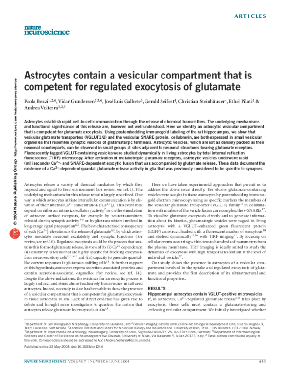 (PDF) Astrocytes contain a vesicular compartment that is competent for ...