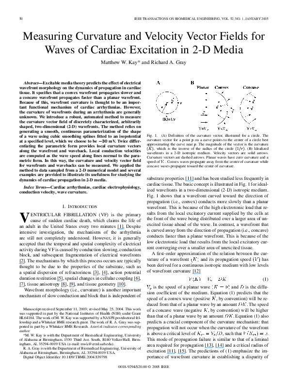 (PDF) Measuring curvature and velocity vector fields for waves of cardiac excitation in 2-D media