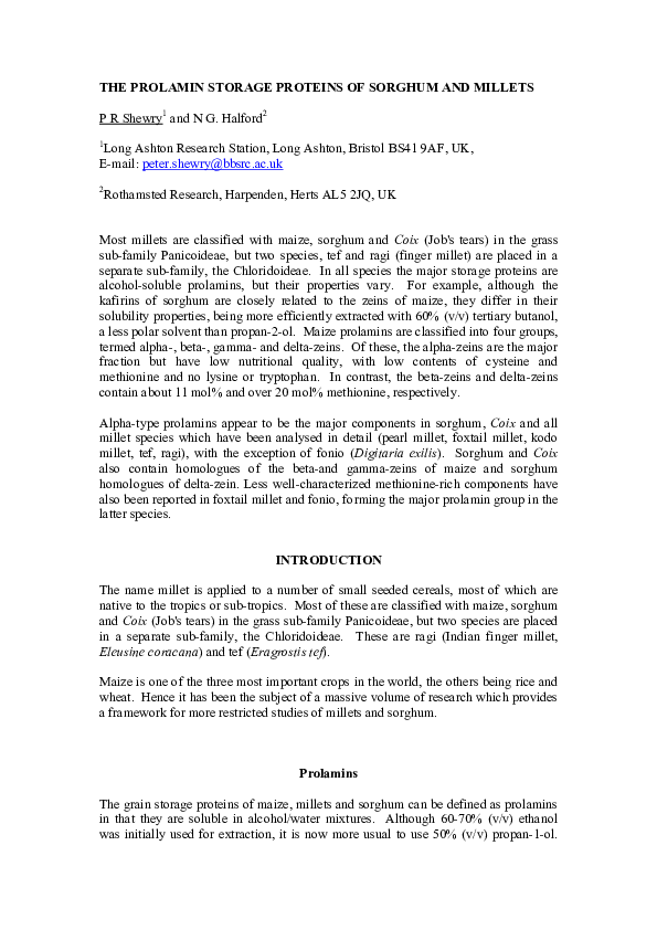 (PDF) The prolamin storage proteins of sorghum and millets