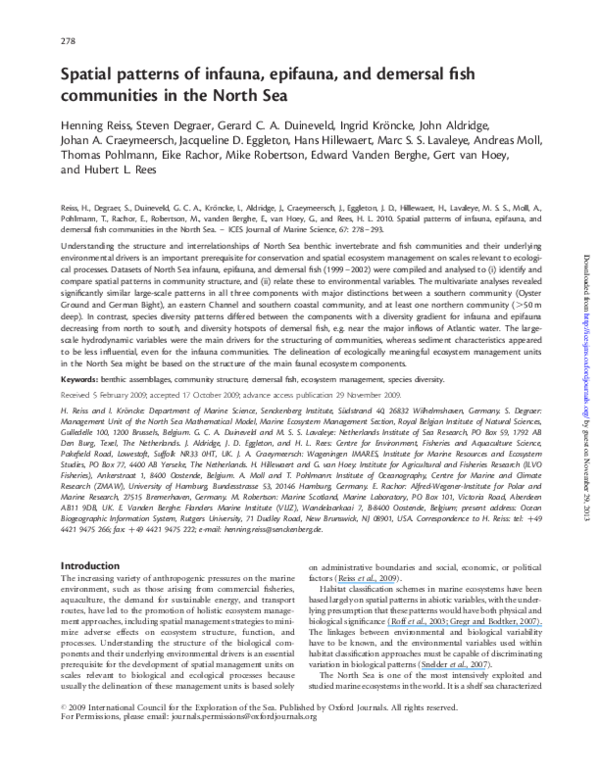 (PDF) Spatial patterns of infauna, epifauna and demersal fish ...