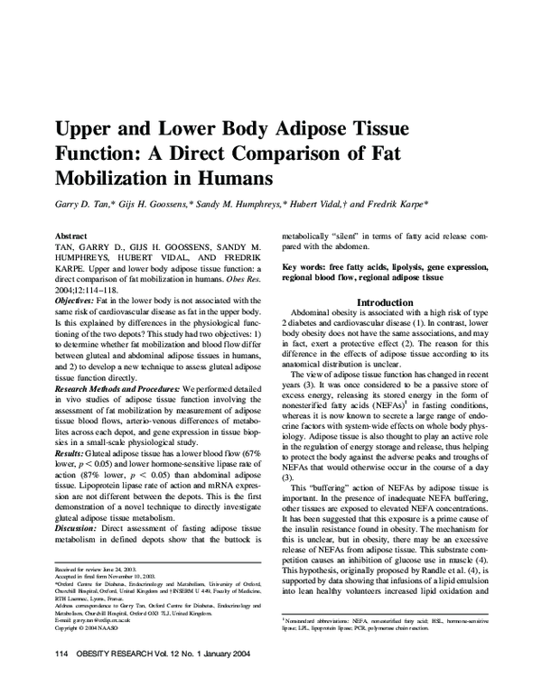 (PDF) Upper and Lower Body Adipose Tissue Function: A Direct Comparison ...