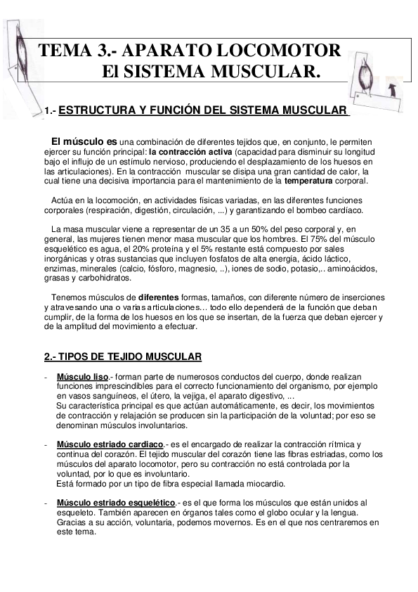(PDF) TEMA 3.-APARATO LOCOMOTOR El SISTEMA MUSCULAR
