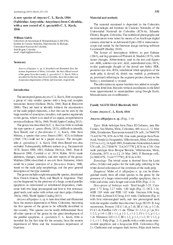 (PDF) A new species of Amycus Koch C.L., 1846 (Araneae: Salticidae ...