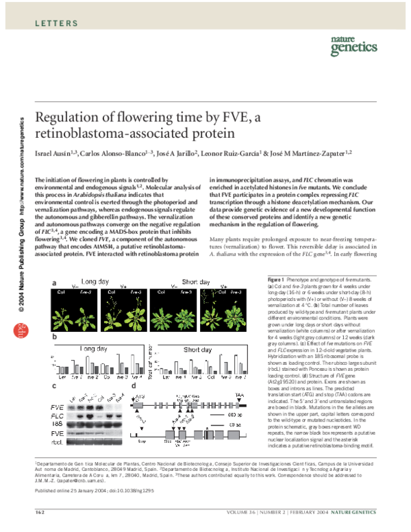 (PDF) Regulation of flowering time by FVE, a retinoblastoma-associated ...