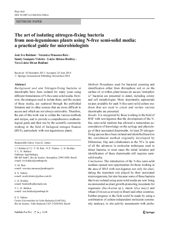 (PDF) The art of isolating nitrogen-fixing bacteria from non-leguminous plants using N-free semi ...