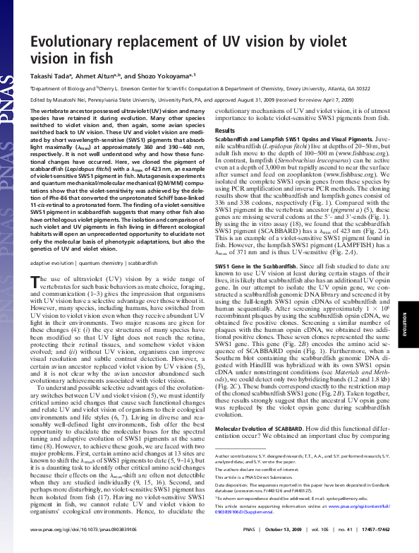 (PDF) Evolutionary replacement of UV vision by violet vision in fish