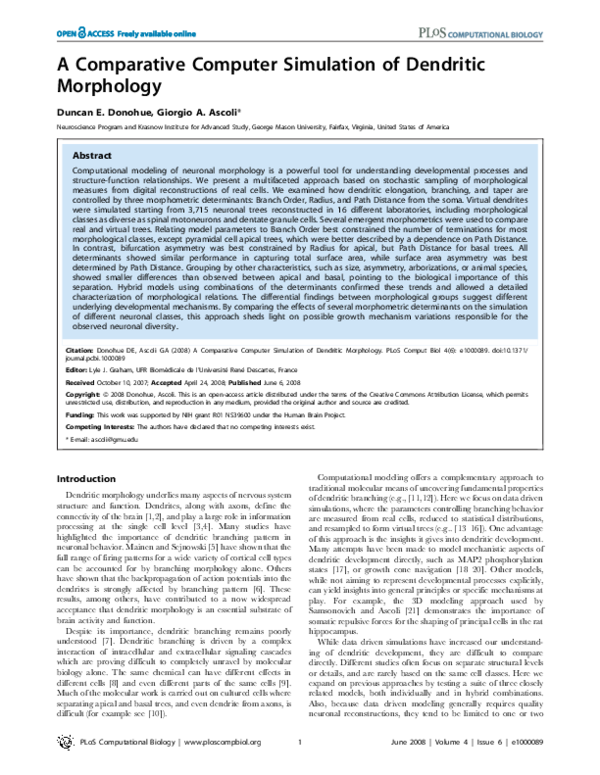 Pdf A Comparative Computer Simulation Of Dendritic Morphology