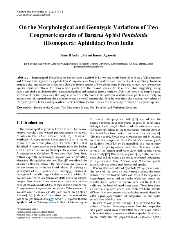 (PDF) On the Morphological and Genotypic Variations of Two Congeneric species of Banana Aphid ...
