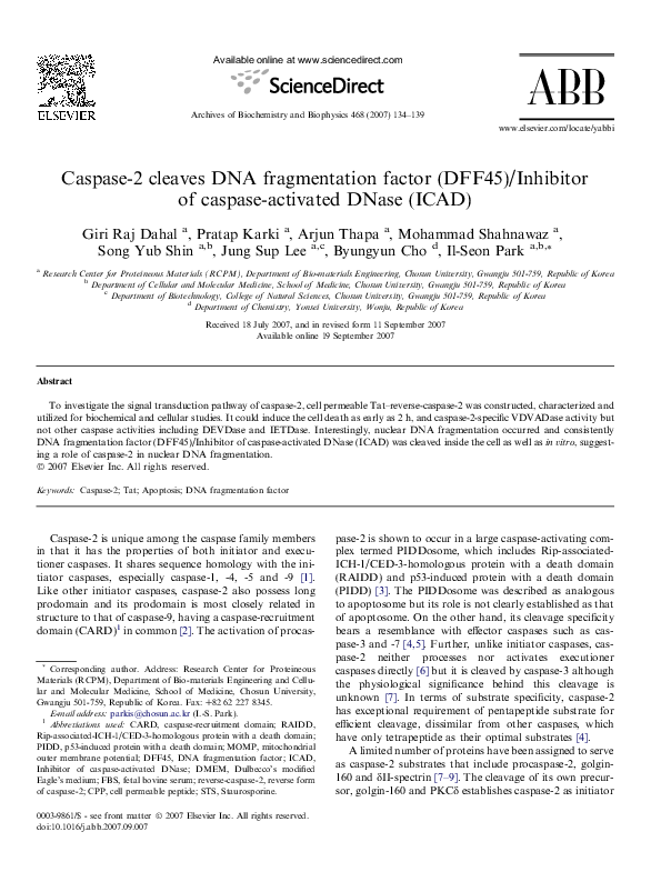(PDF) Caspase2 cleaves DNA fragmentation factor (DFF45)/Inhibitor of ...