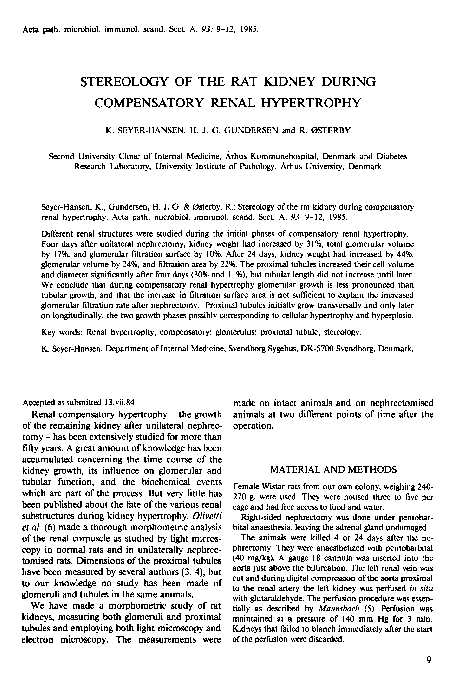 (PDF) STEREOLOGY OF THE RAT KIDNEY DURING COMPENSATORY RENAL HYPERTROPHY