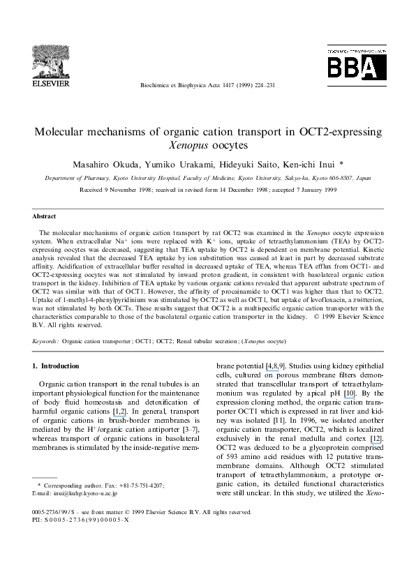 (PDF) Molecular mechanisms of organic cation transport in OCT2 ...