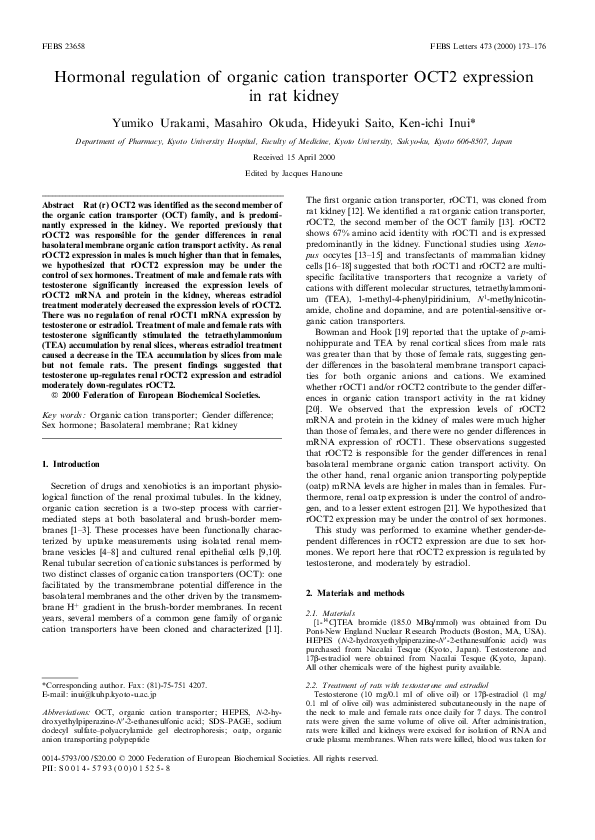 (PDF) Hormonal regulation of organic cation transporter OCT2 expression ...