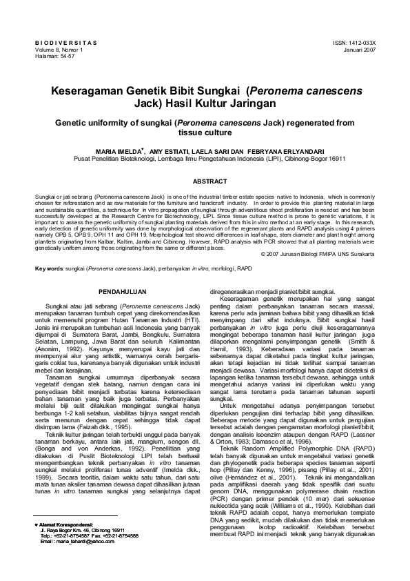 (PDF) Keseragaman Genetik Bibit Sungkai (Peronema canescens Jack) Hasil ...