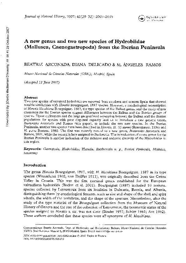 (PDF) A new genus and two new species of Hydrobiidae (Mollusca, Caenogastropoda) from the ...