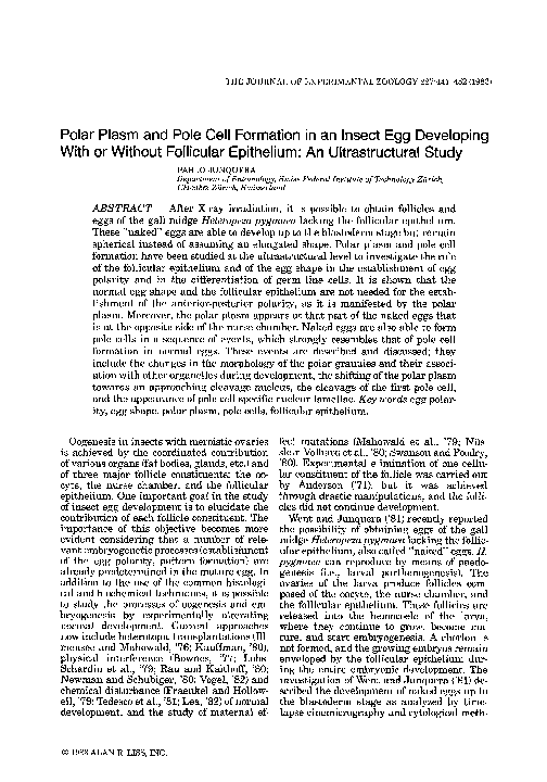 (PDF) Polar plasm and pole cell formation in an insect egg developing ...