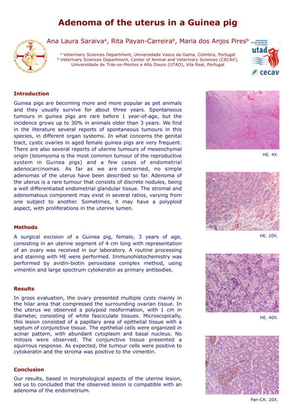 (PDF) Adenoma of the Uterus in a Guinea Pig